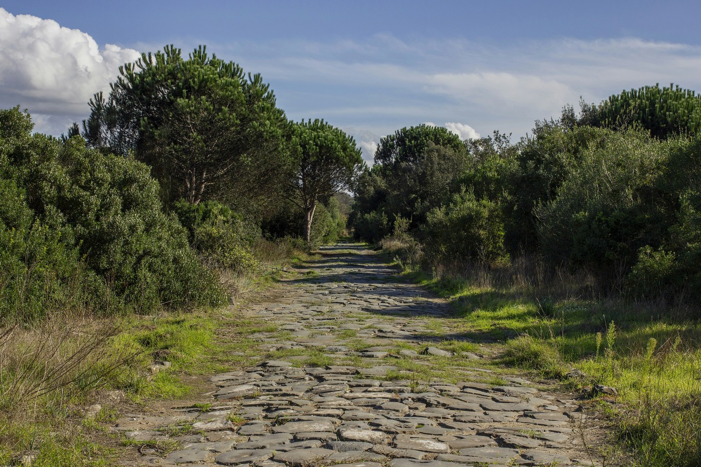 The Roman Road – Peggy Writes